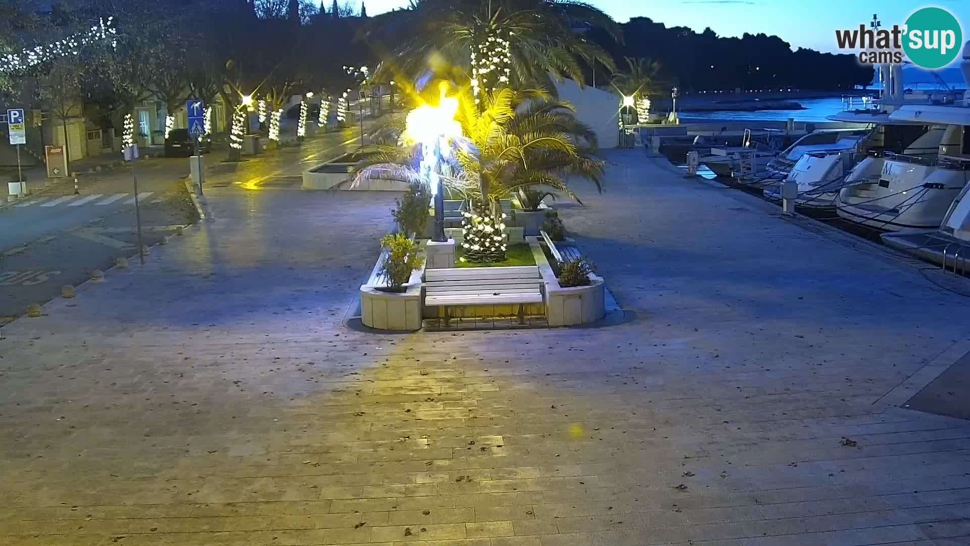 Kamera v Zivo RIM - Trg Navona in Neptunov vodomet