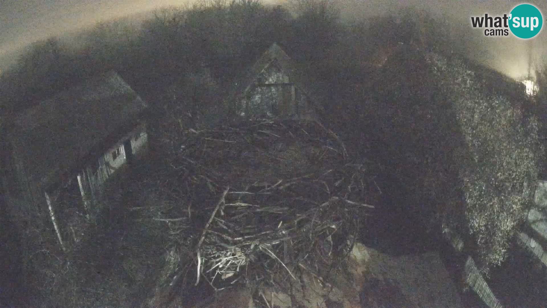 [ v ŽIVO ] Spletna kamera Novigrad - Veliki Trg