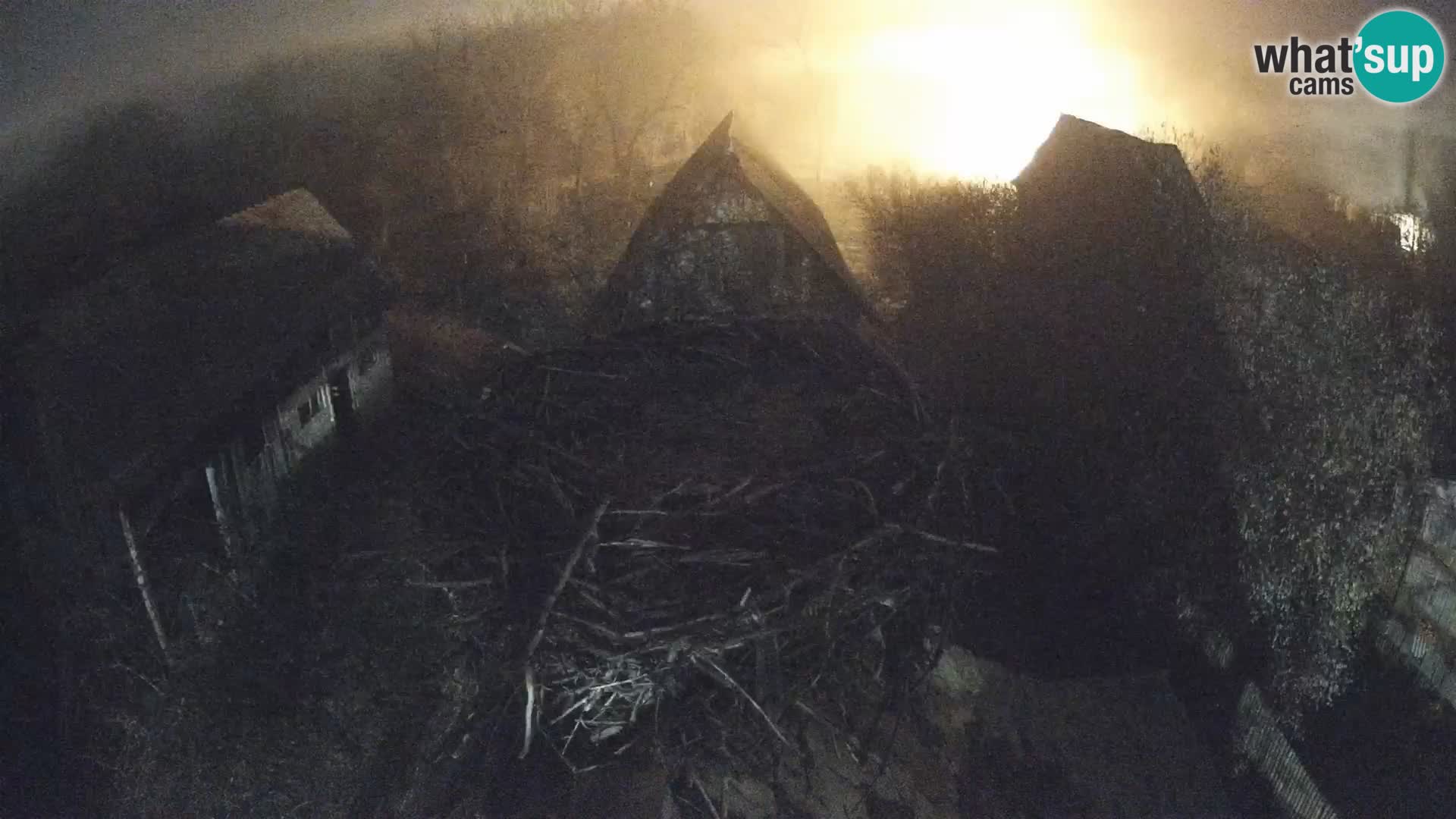 [ v ŽIVO ] Novigrad kamera Mandrač - Istra