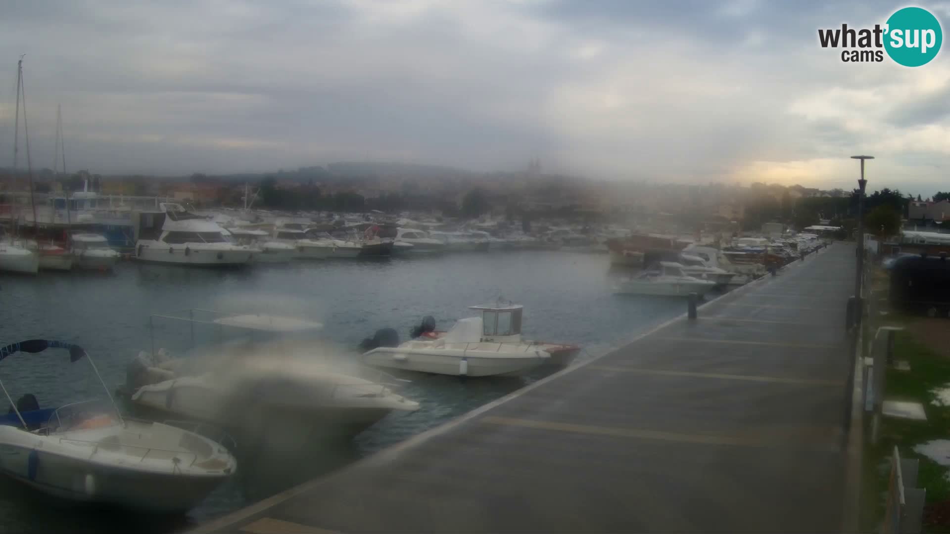 Seaside promenade and marina in Rovinj webcam - WhatsUpCams - LIVE ...