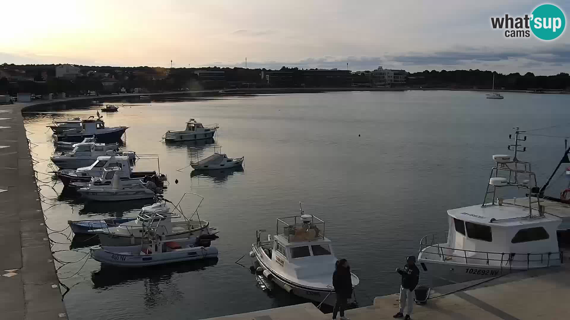 Live cam Novalja - Obala Petra Krešimira IV - Pag webcam Croatia