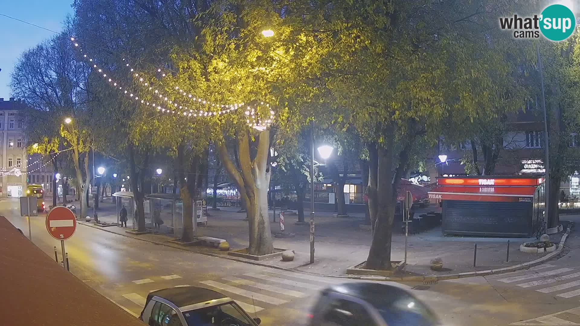 [v ŽIVO] Spletna kamera Rovinj Center – Odkrijte Glavni trg Rovinja