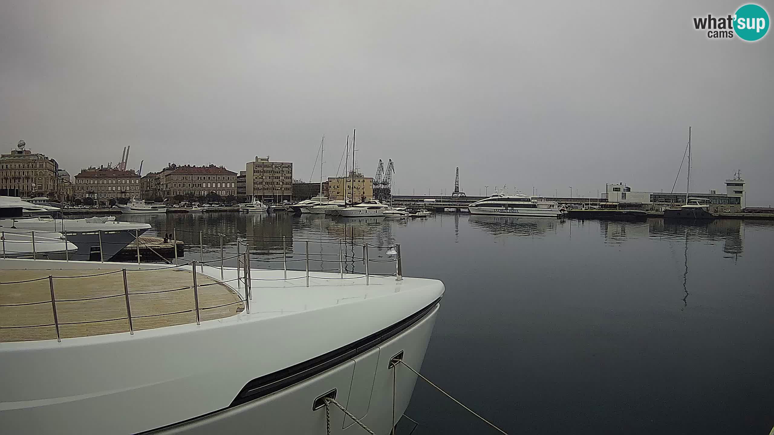 Web Kamera Medulin marina - WhatsUpCams - Kamere u živo