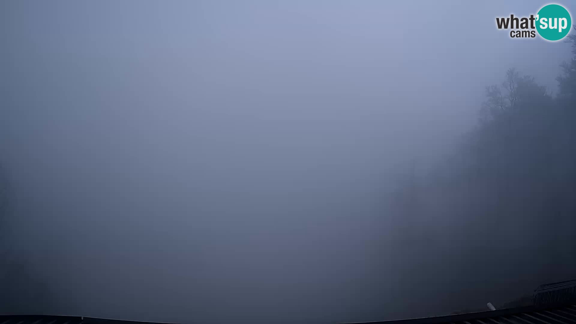 Spletna kamera v živo Senj riva - Hrvaška - WhatsUpCams - Kamere v živo