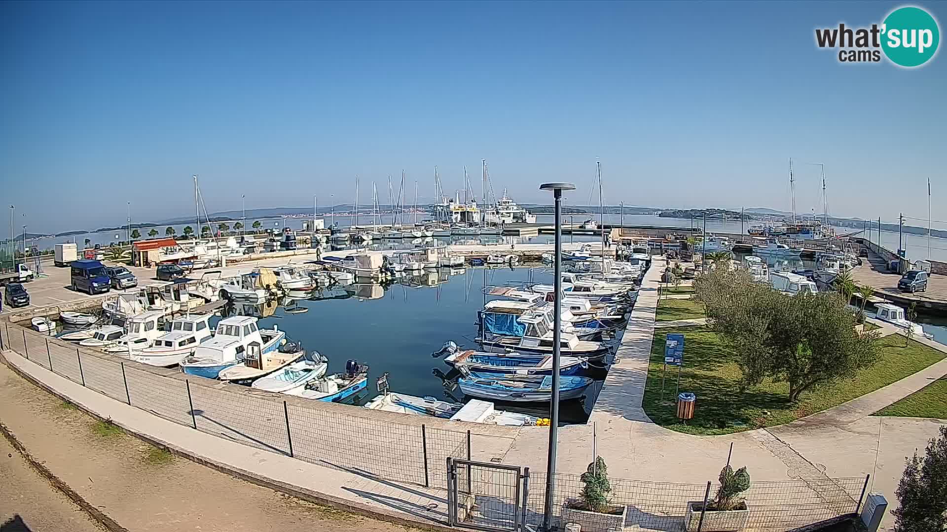 Web Kamera Medulin marina - WhatsUpCams - Kamere u živo
