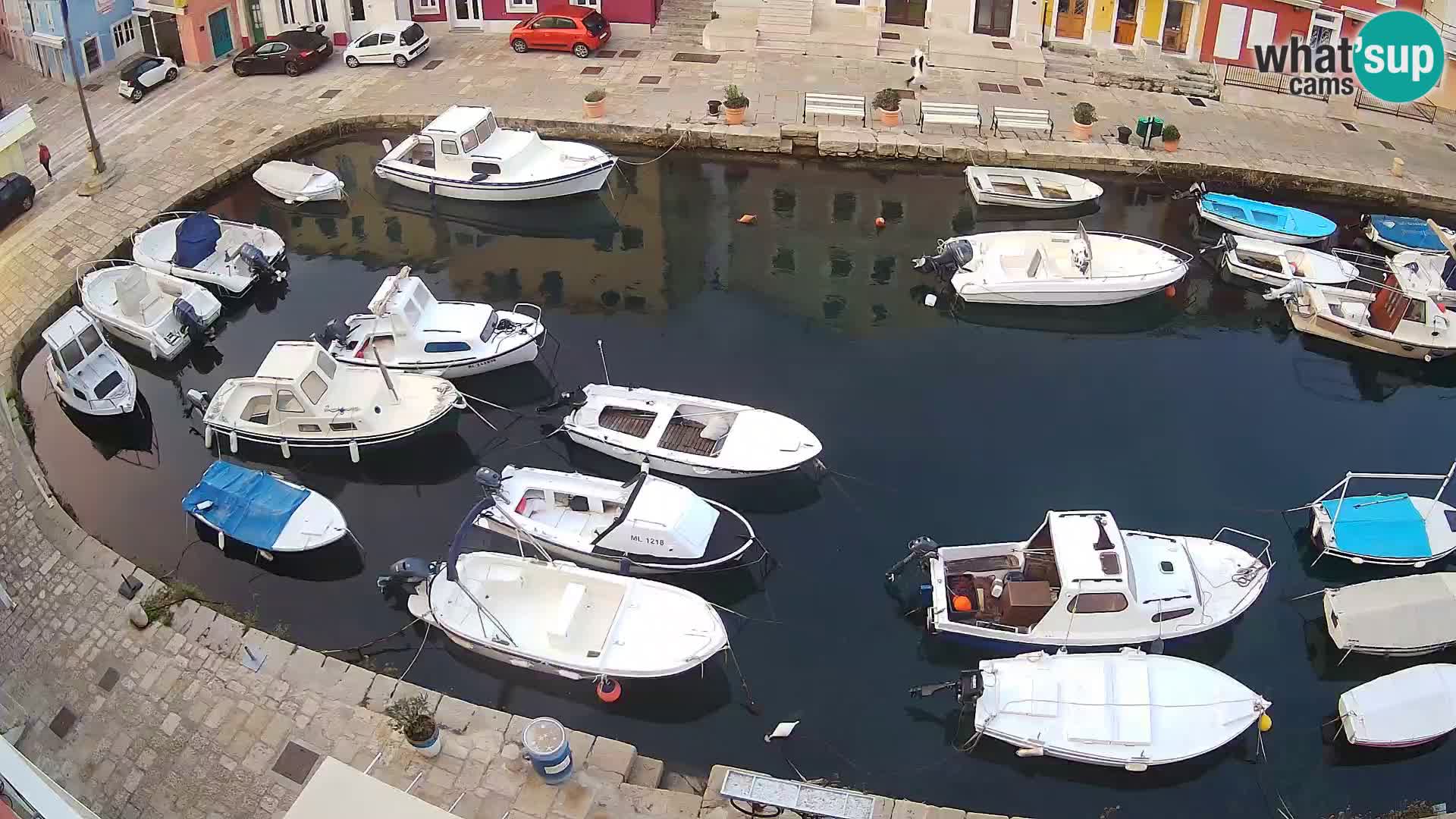 Kamera v živo Koper - Ukmarjev trg - WhatsUpCams - Kamere v živo