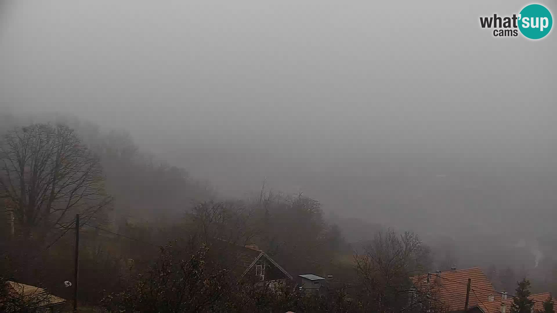 Novigrad - Mandrač - WhatsUpCams - Kamere v živo