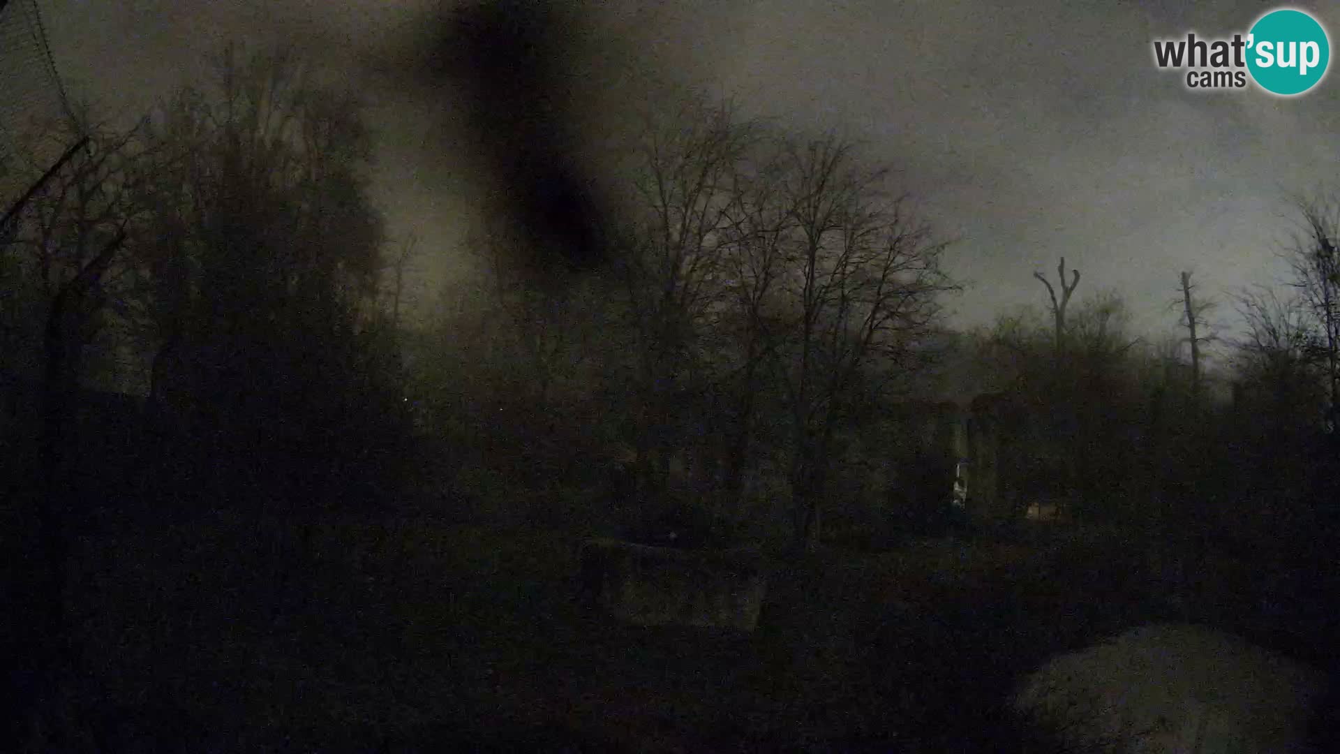 [ v ŽIVO ] Spletna kamera Velika Planina | Gradišče