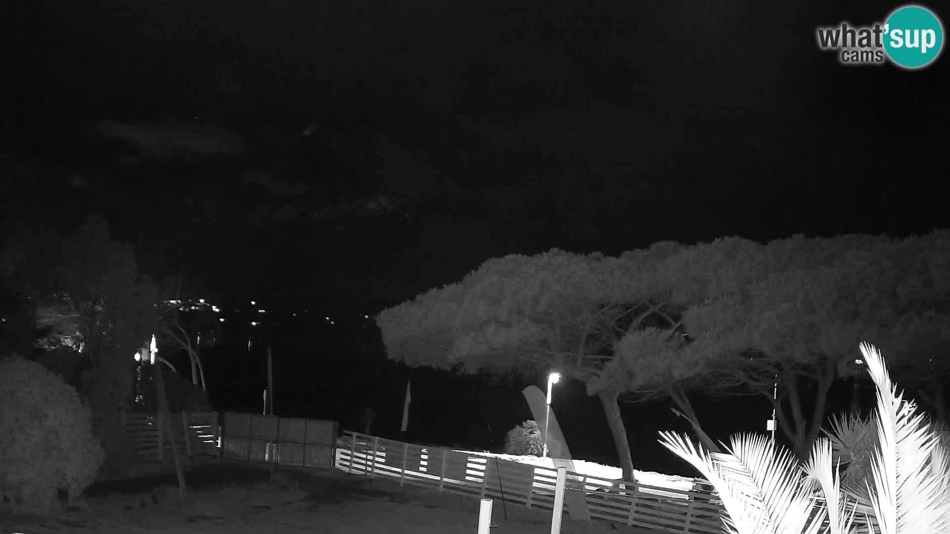 Evropska vas štorklje - Krajinski park Lonjsko polje spletna kamera - WhatsUpCams - Kamere v živo