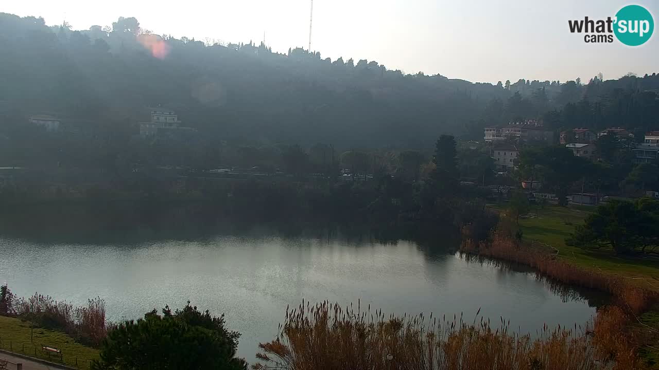 LEVI spletna kamera v živalskem vrtu Ljubljana Zoo