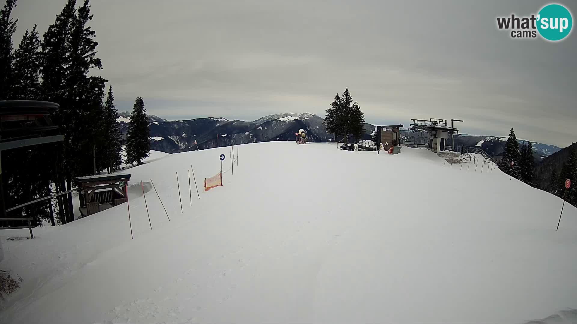 Rogla Webcam Live - Planja - Ski center near Celje and Maribor