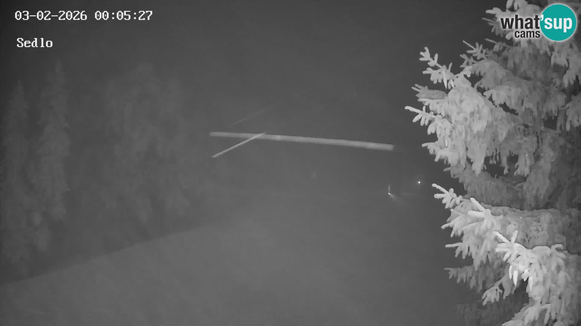 Webcams Archive - WhatsUpCams - LIVE Web kameras