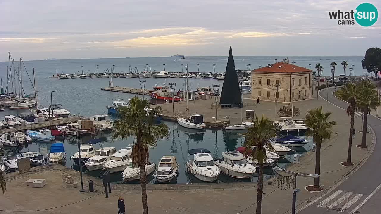 Web kamera Koprivnica - Zrinski trg - WhatsUpCams - Kamere u živo