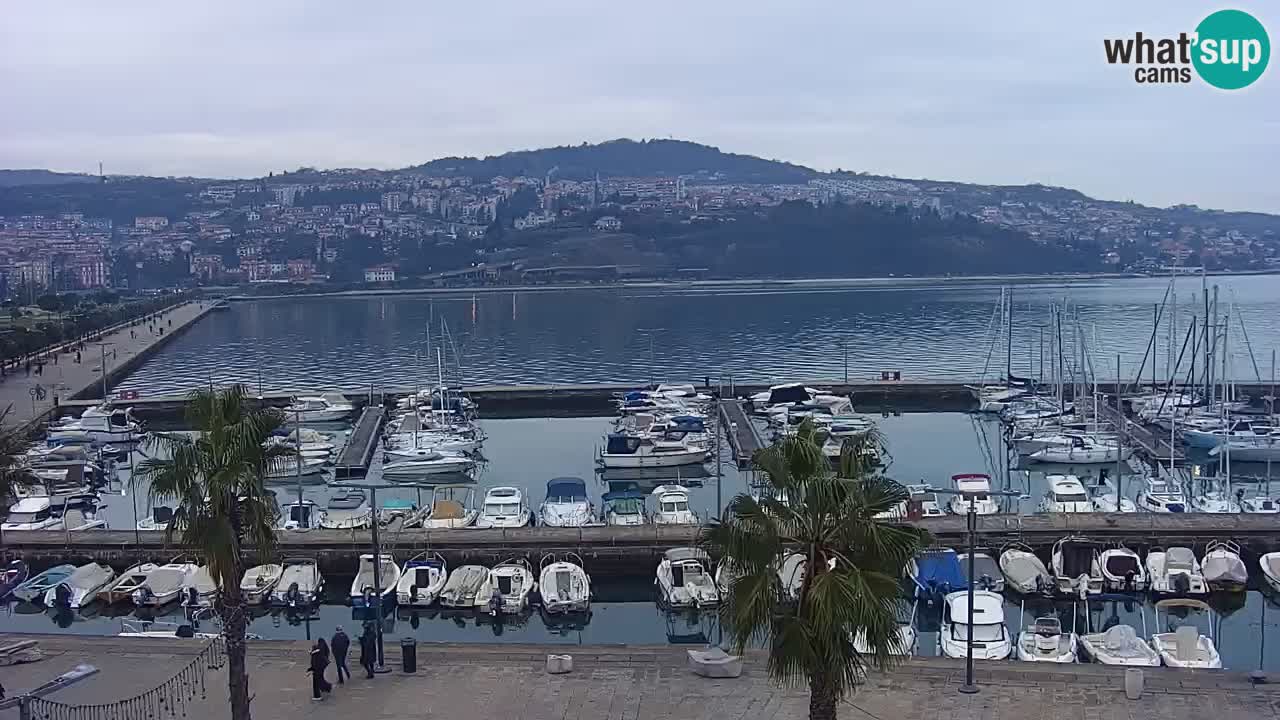 Koper live webcams – marina & promenade views