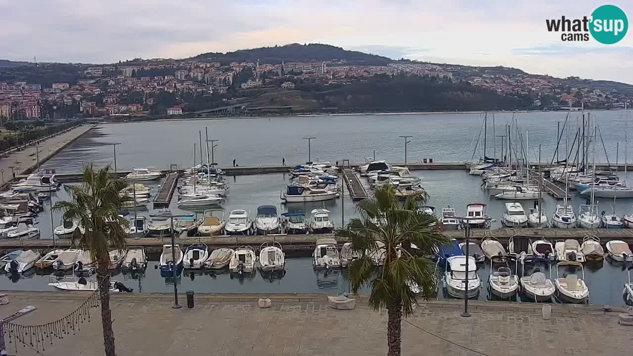 Koper spletne kamere v živo – marina & promenada