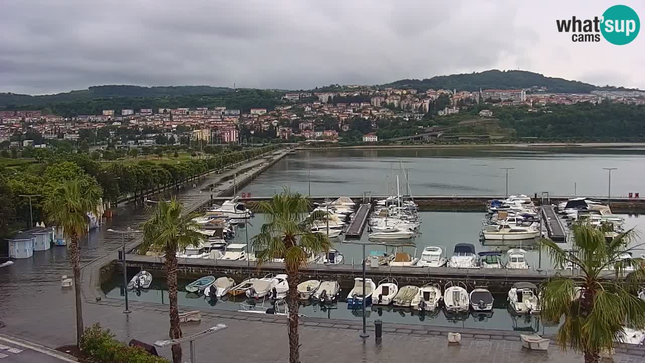 Koper live webcams – marina & promenade views