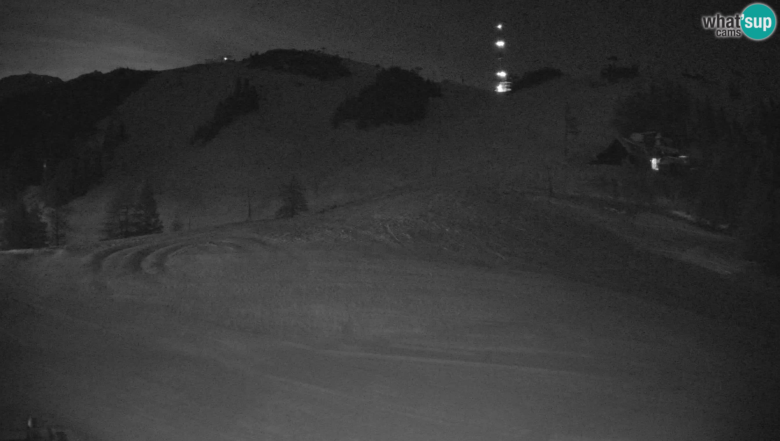 Evropska vas štorklje - Krajinski park Lonjsko polje spletna kamera - WhatsUpCams - LIVE streaming