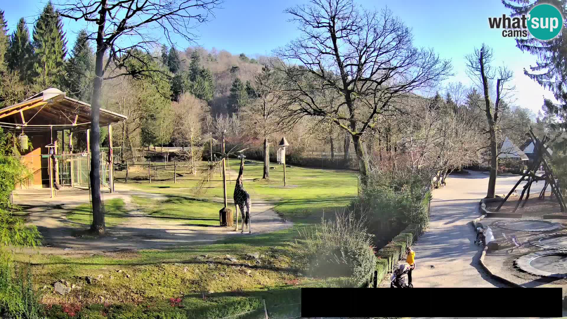 Vodice - plaža „Hangar“ - WhatsUpCams - Kamere v živo