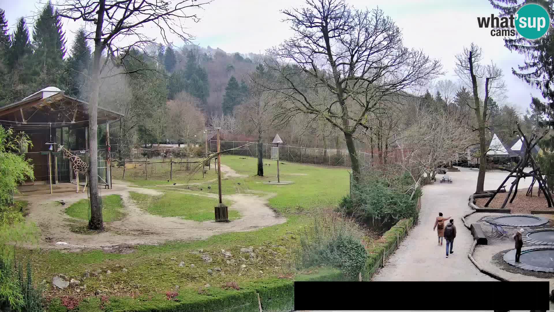 Športni Center Pokljuka - Rudno Polje - WhatsUpCams - Kamere v živo