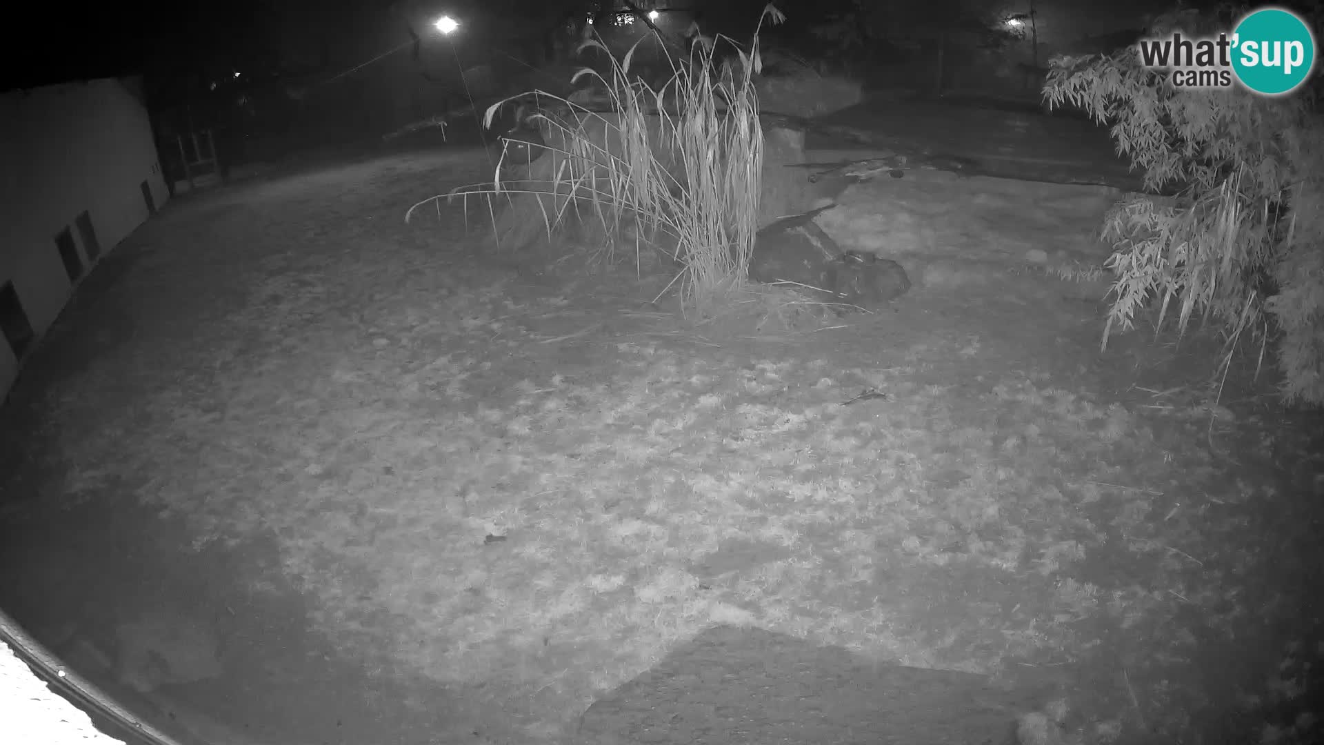 Kamera v živo Sutivan - otok Brač - WhatsUpCams - Kamere v živo