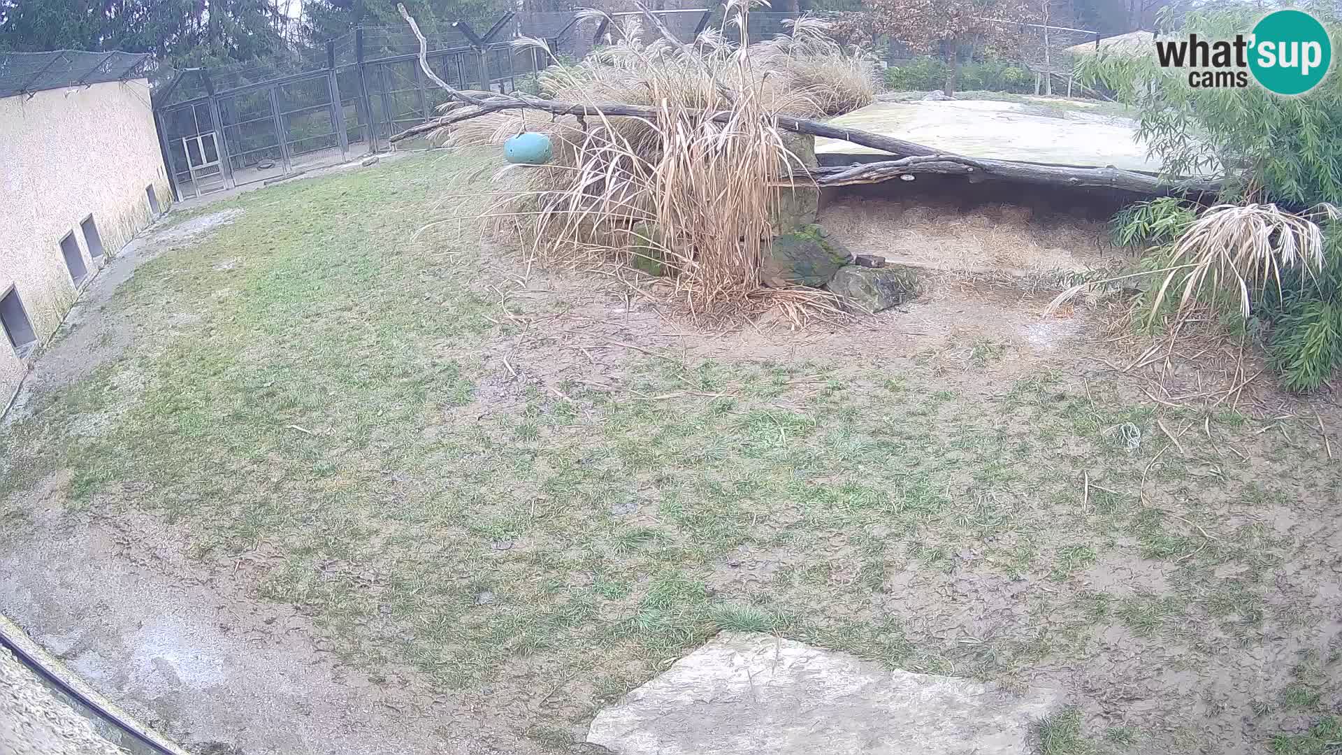 Spletna kamera v živo Koper - Panoramski pogled na mesto in pristanišče ...