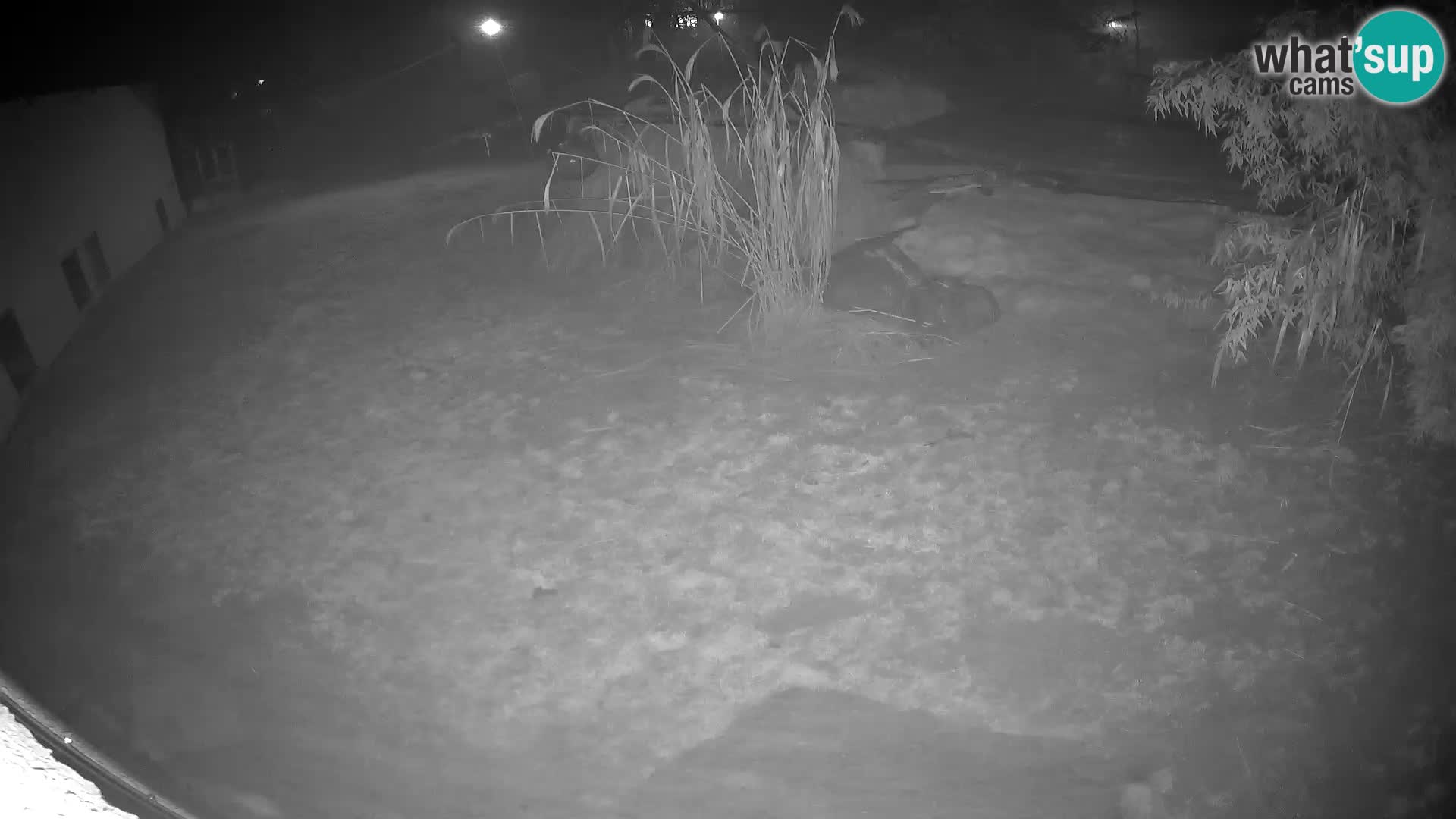 Medulin Spletna kamera - Riva - WhatsUpCams - Kamere v živo