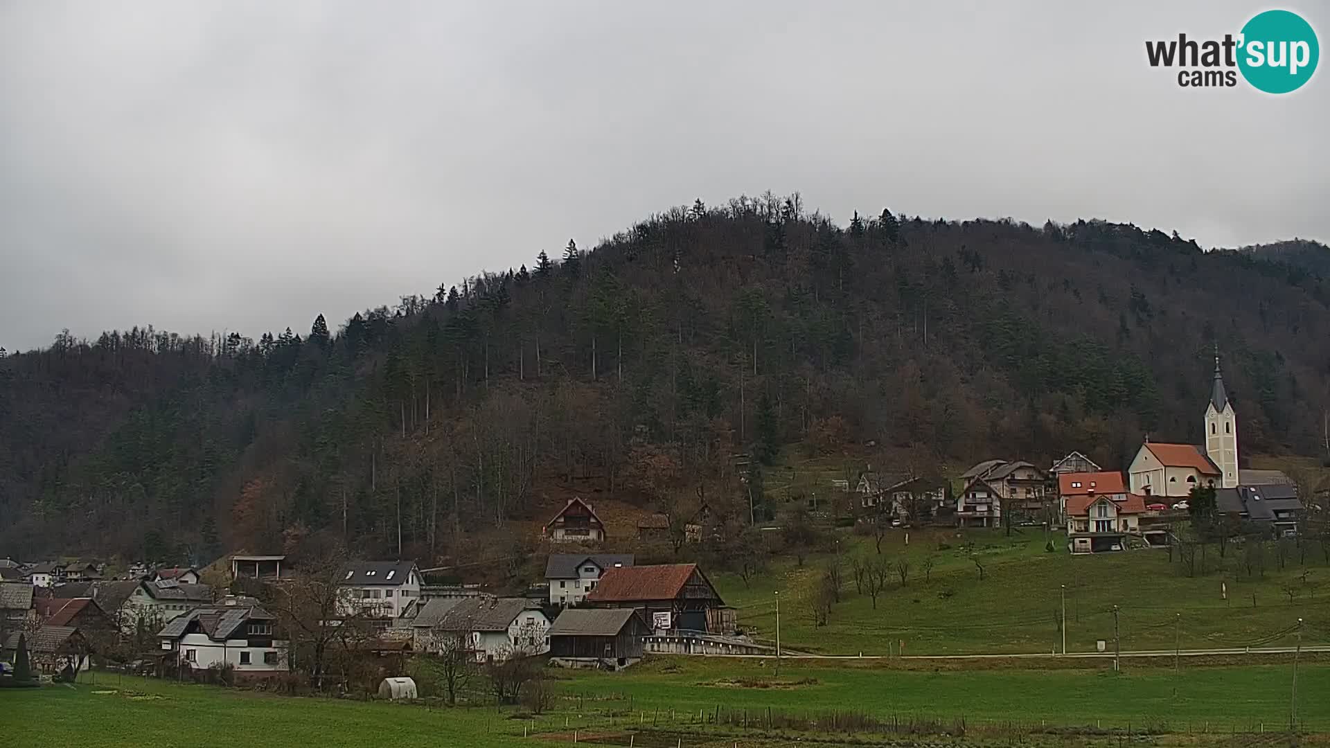 Spletna kamera ptičja krmilnica v ZOO Ljubljana - WhatsUpCams - Kamere v živo