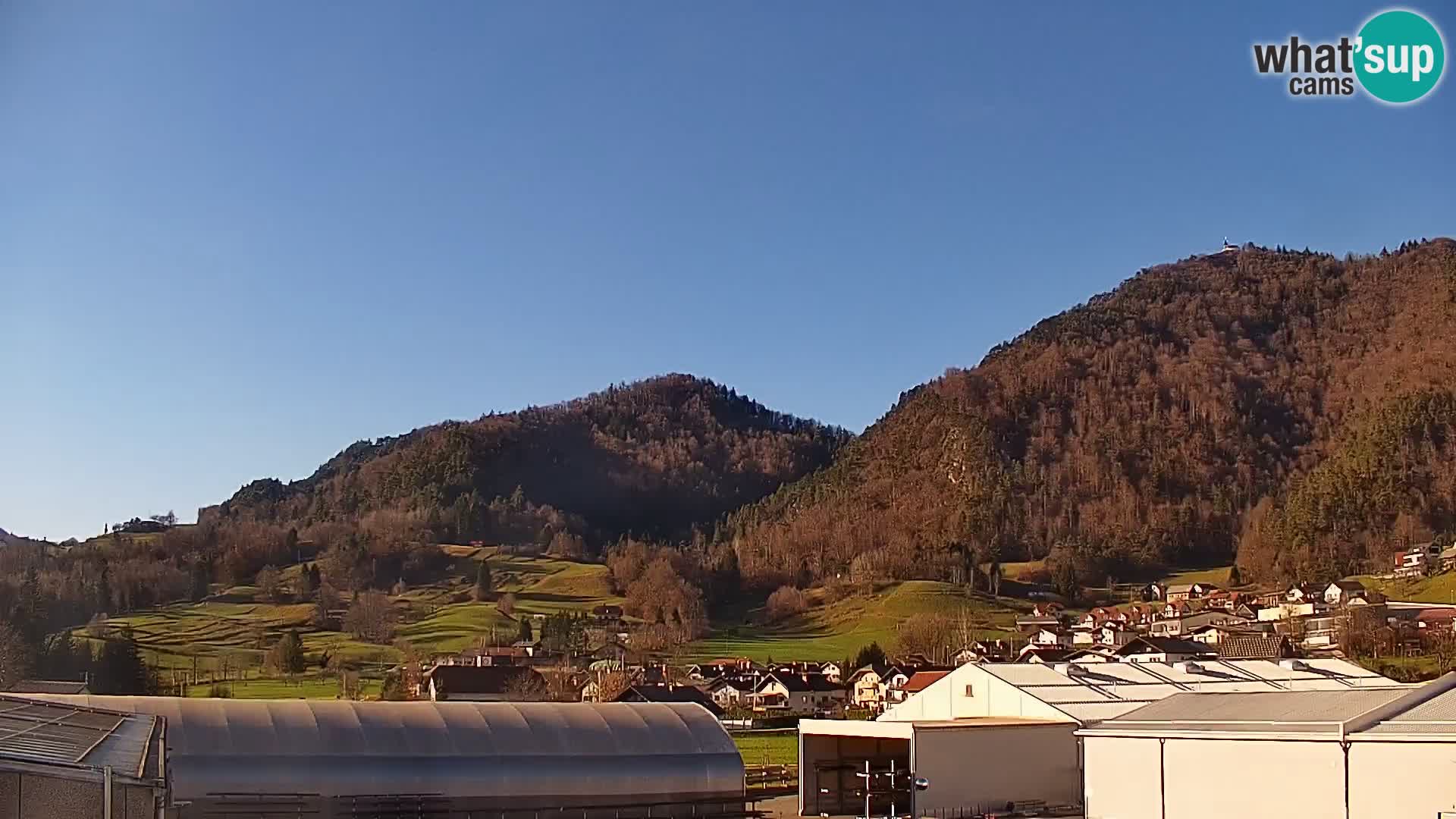 LEVI spletna kamera v živalskem vrtu Ljubljana Zoo