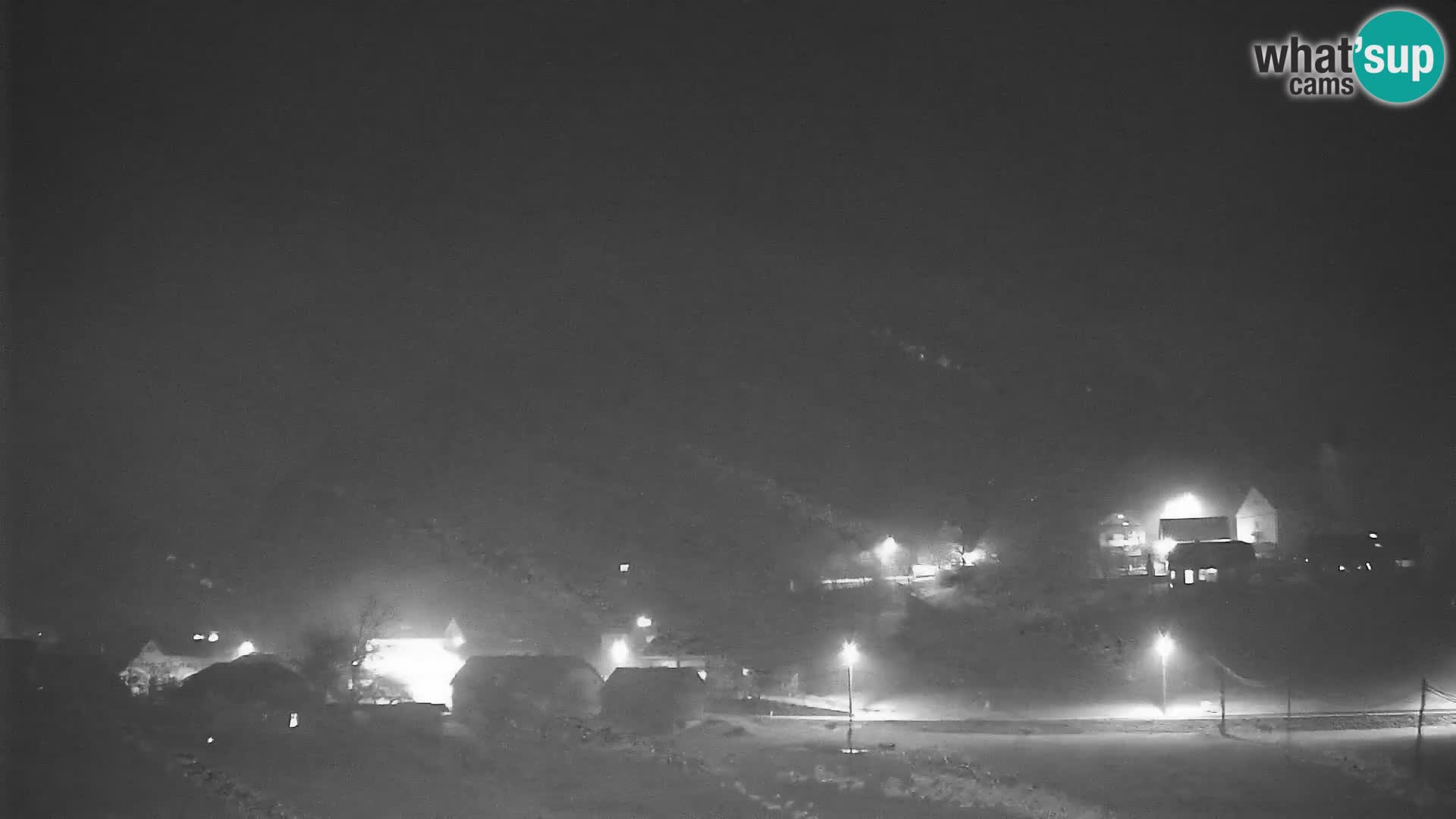 LEVI spletna kamera v živalskem vrtu Ljubljana Zoo