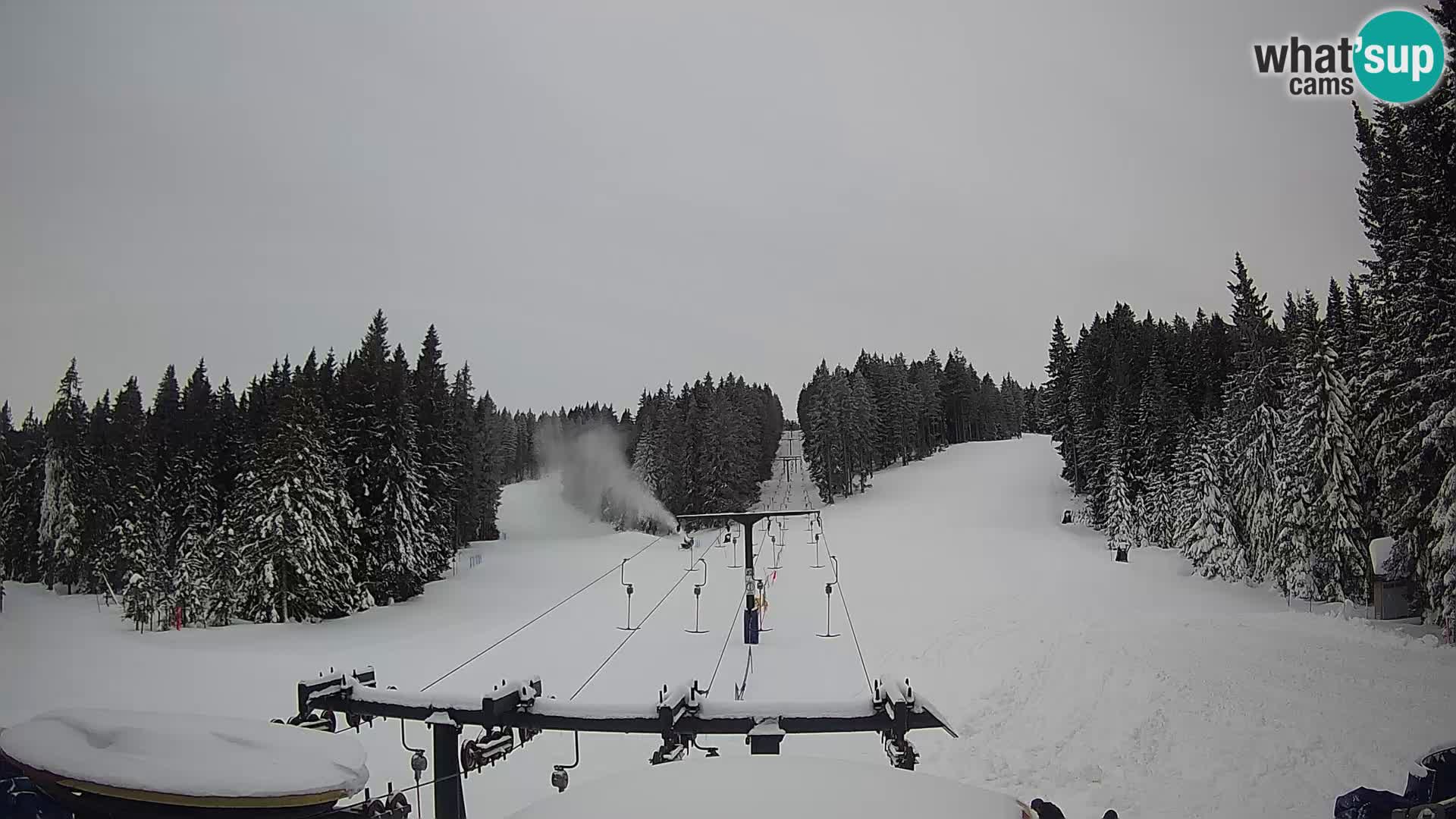 Rogla Hotel Natura - cross-country skiing - Live cam