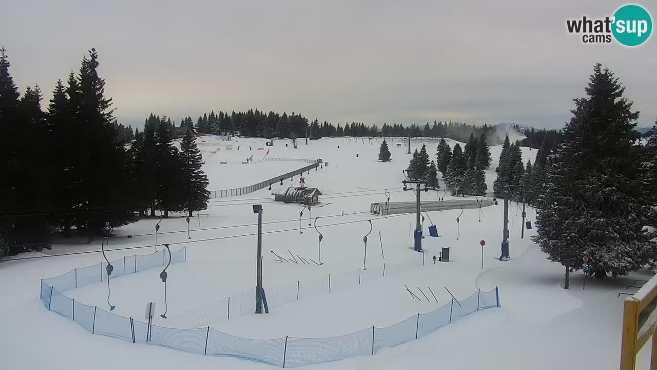 Rogla Webcam Live - Planja - Ski center near Celje and Maribor