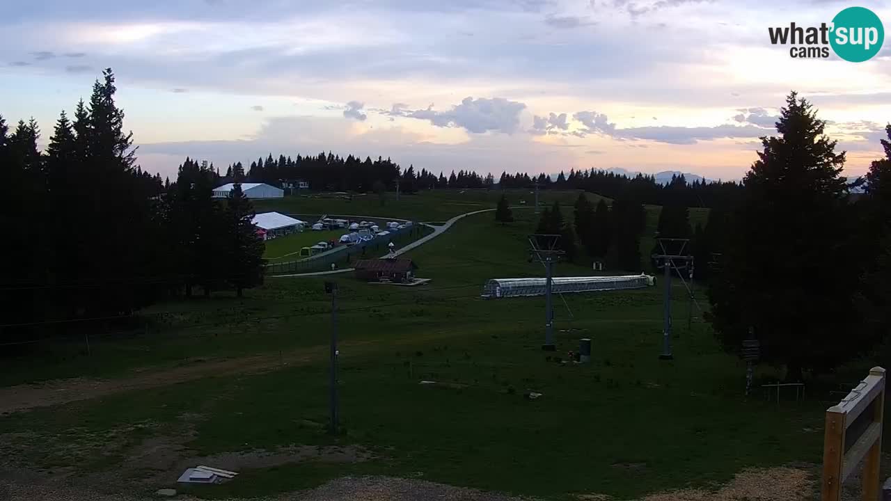 Rogla Webcam Live - Planja - Ski center near Celje and Maribor