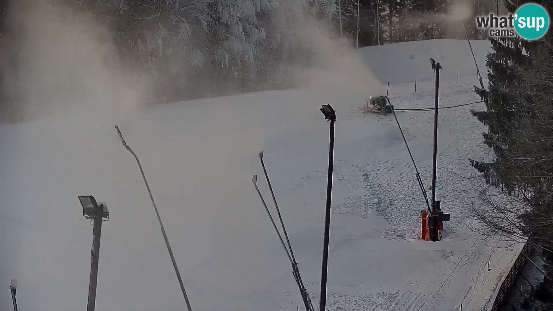 Struška nad Jesenicami Live webcam planina Svečica (Belška planina ...