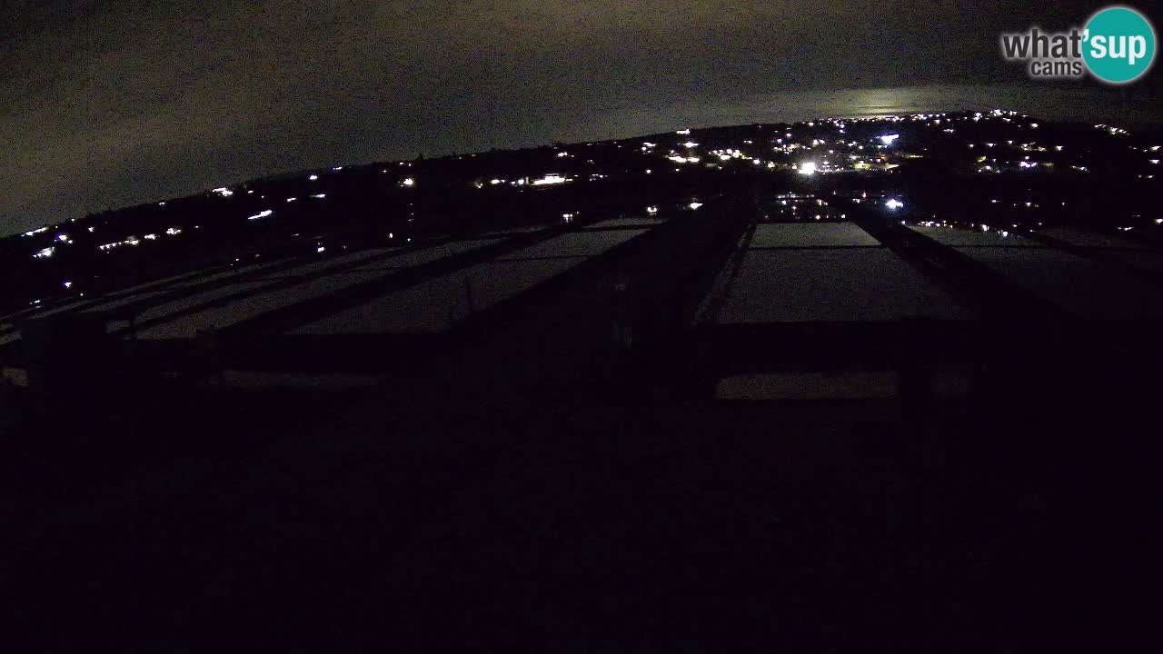 Evropska vas štorklje - Krajinski park Lonjsko polje spletna kamera - WhatsUpCams - Kamere v živo